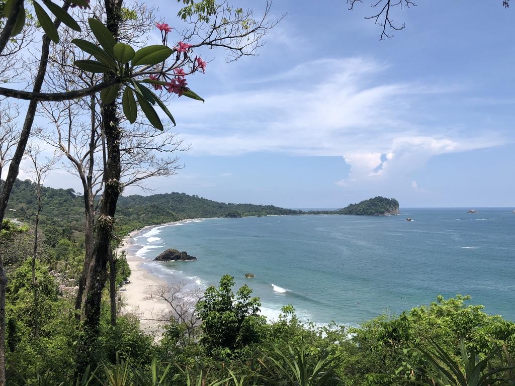 Benjamin Fenney and Juliana Guzmán's Wedding Website