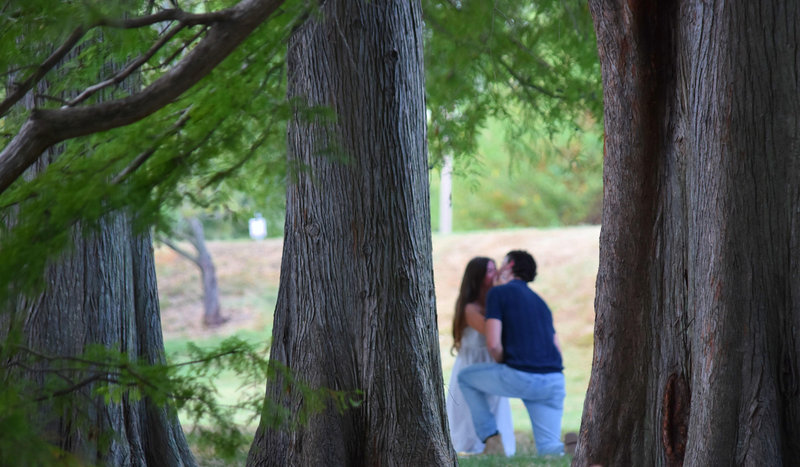 Melissa Whipple and Brady Ellis' Wedding Website