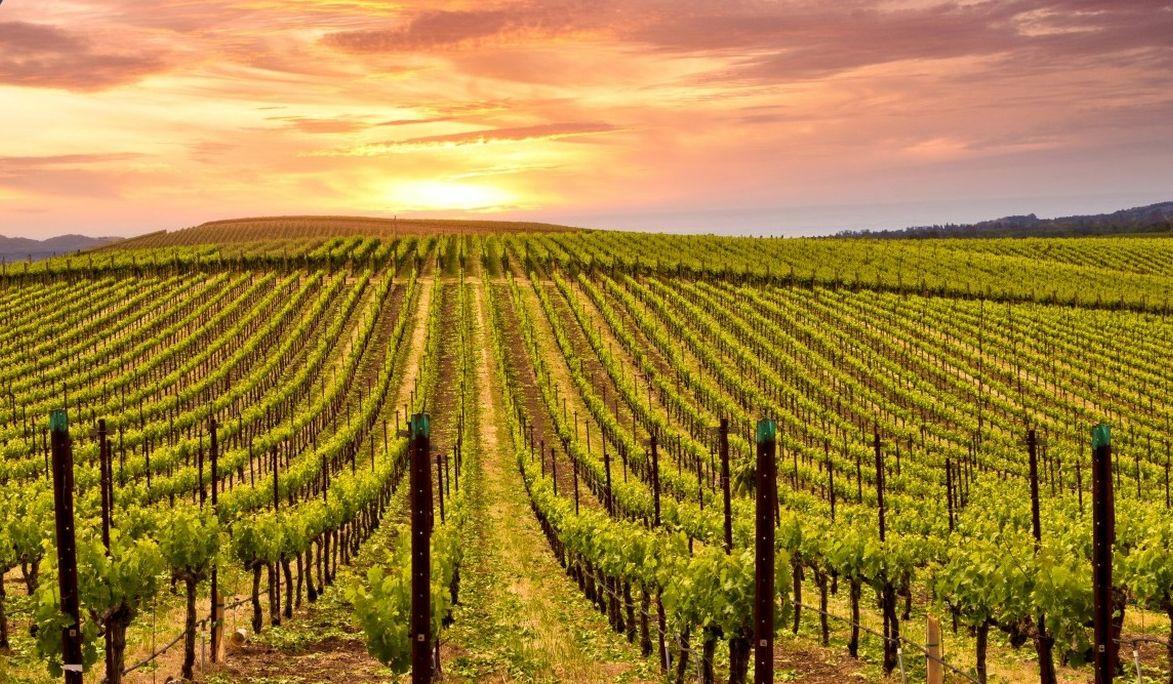 Chris Gibbs and Morgan Butler's Wedding Website