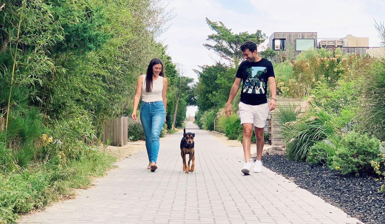 Rikki Shapiro and Matthew Brownstein's Wedding Website