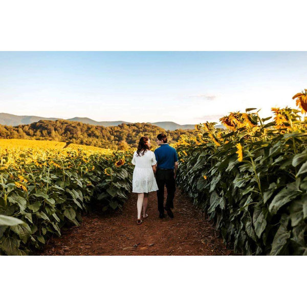 Hannah Puckett and Royce Hutchinson's Wedding Website