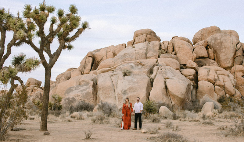 Meghan Haney and Ethan Bachman's Wedding Website