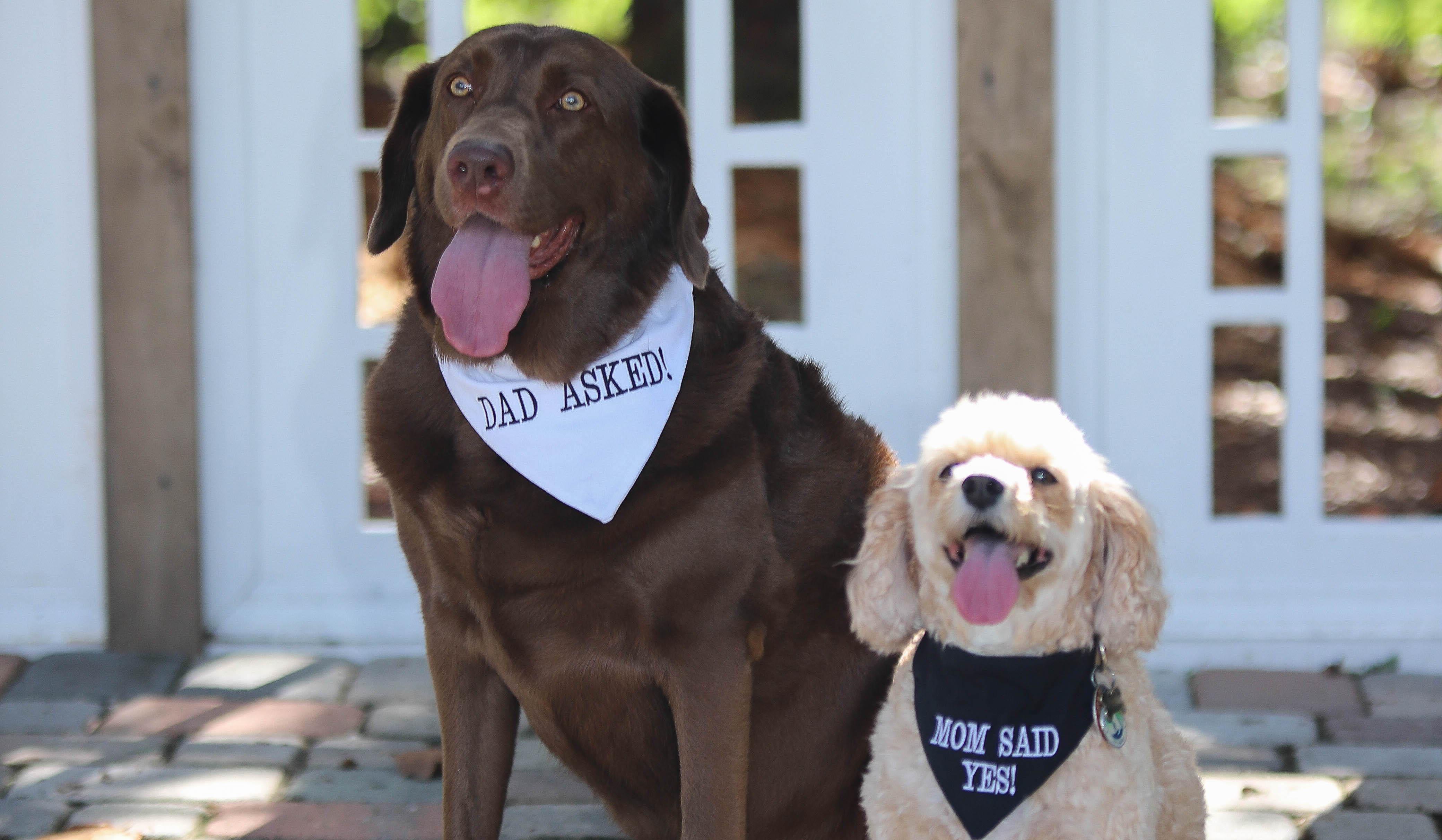 James Roddy and Kathryn Roddy's Wedding Website