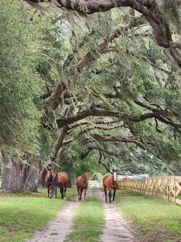 Destiny Ranch Events | Wedding Venues | Cost, Reviews & Photos | Zola