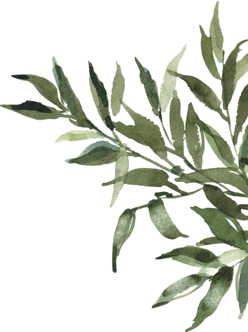 LIDIA MCNULTY and SIMONE DI GIOVANNI's Wedding Website