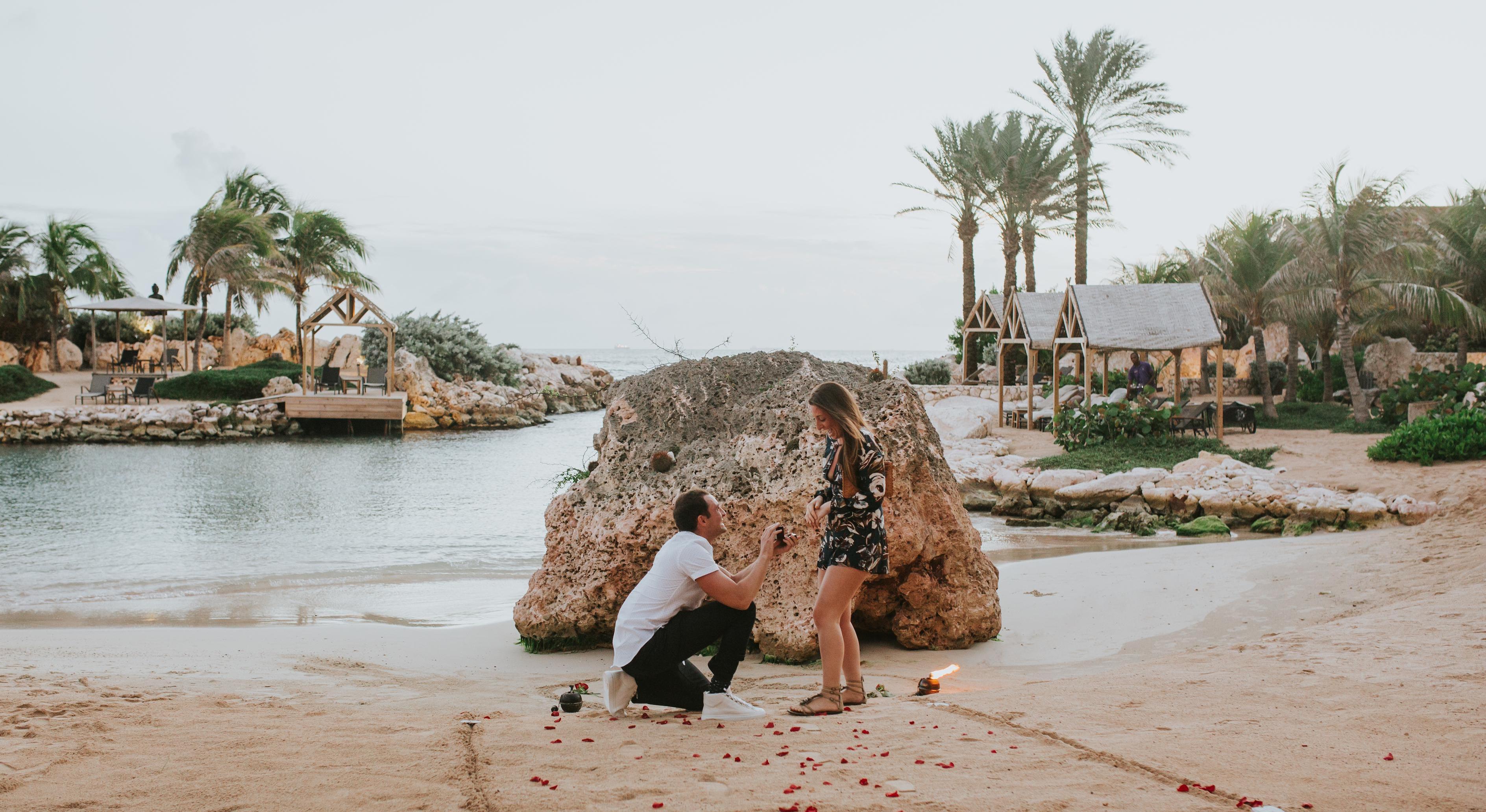 Danielle Kaye and Alexander Ostrovsky's Wedding Website