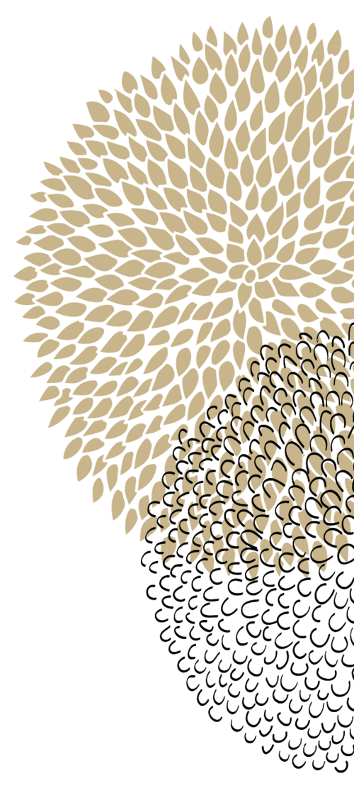 Raina Moore and Jeremiah Chipley's Wedding Website