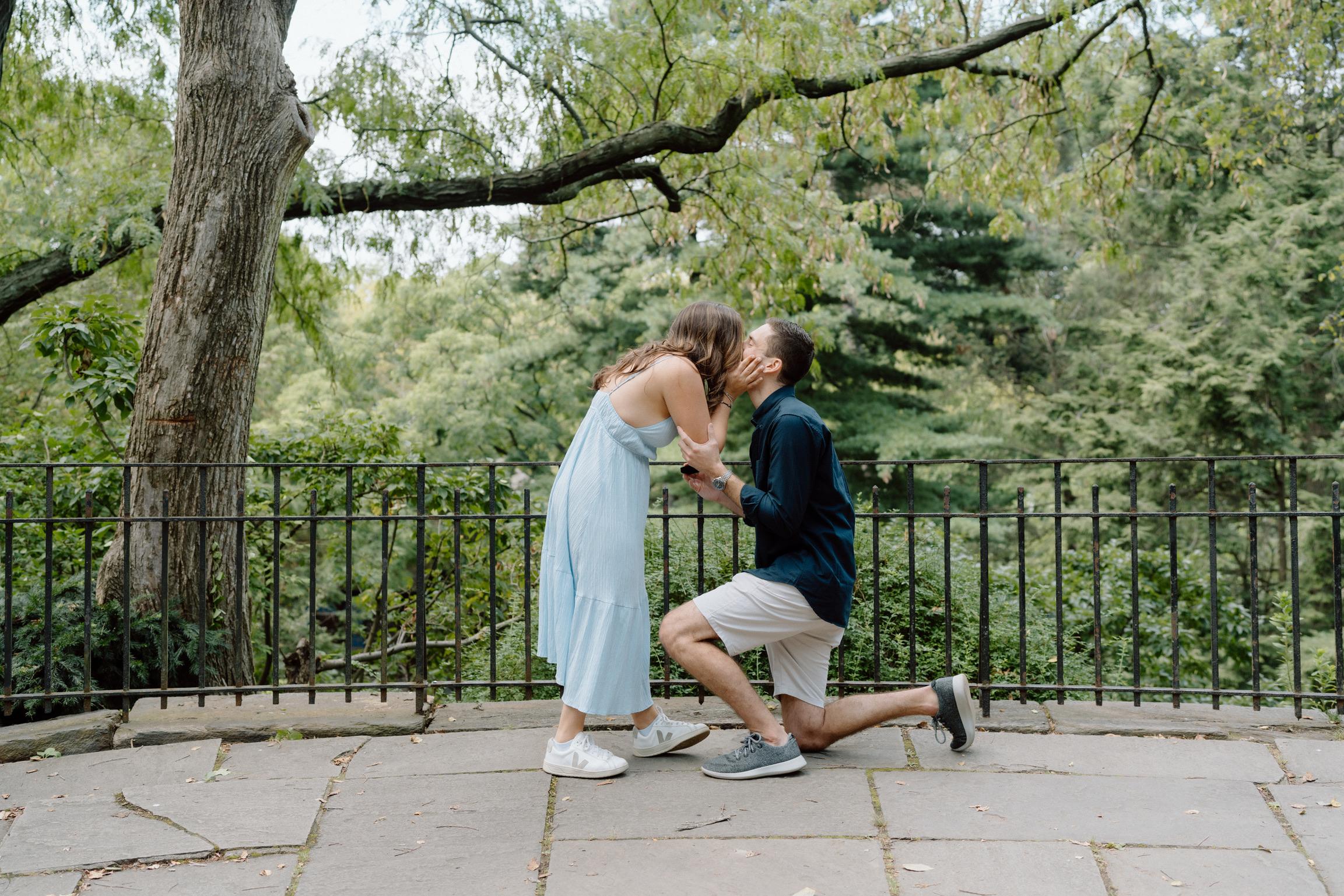 Alyson Meyer and Gregory Wolf's Wedding Website