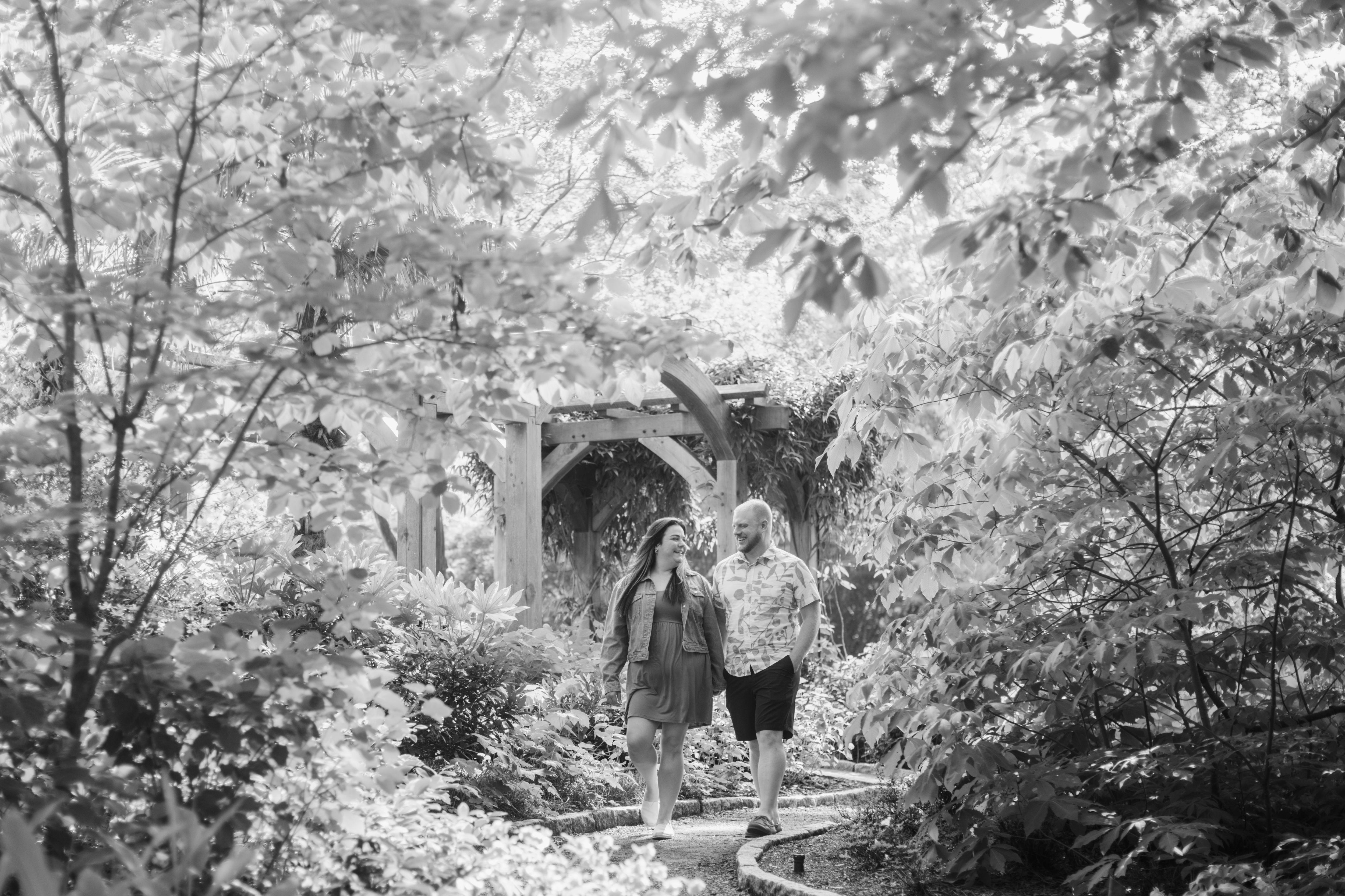 Alison Stephans and Landon Hollander's Wedding Website