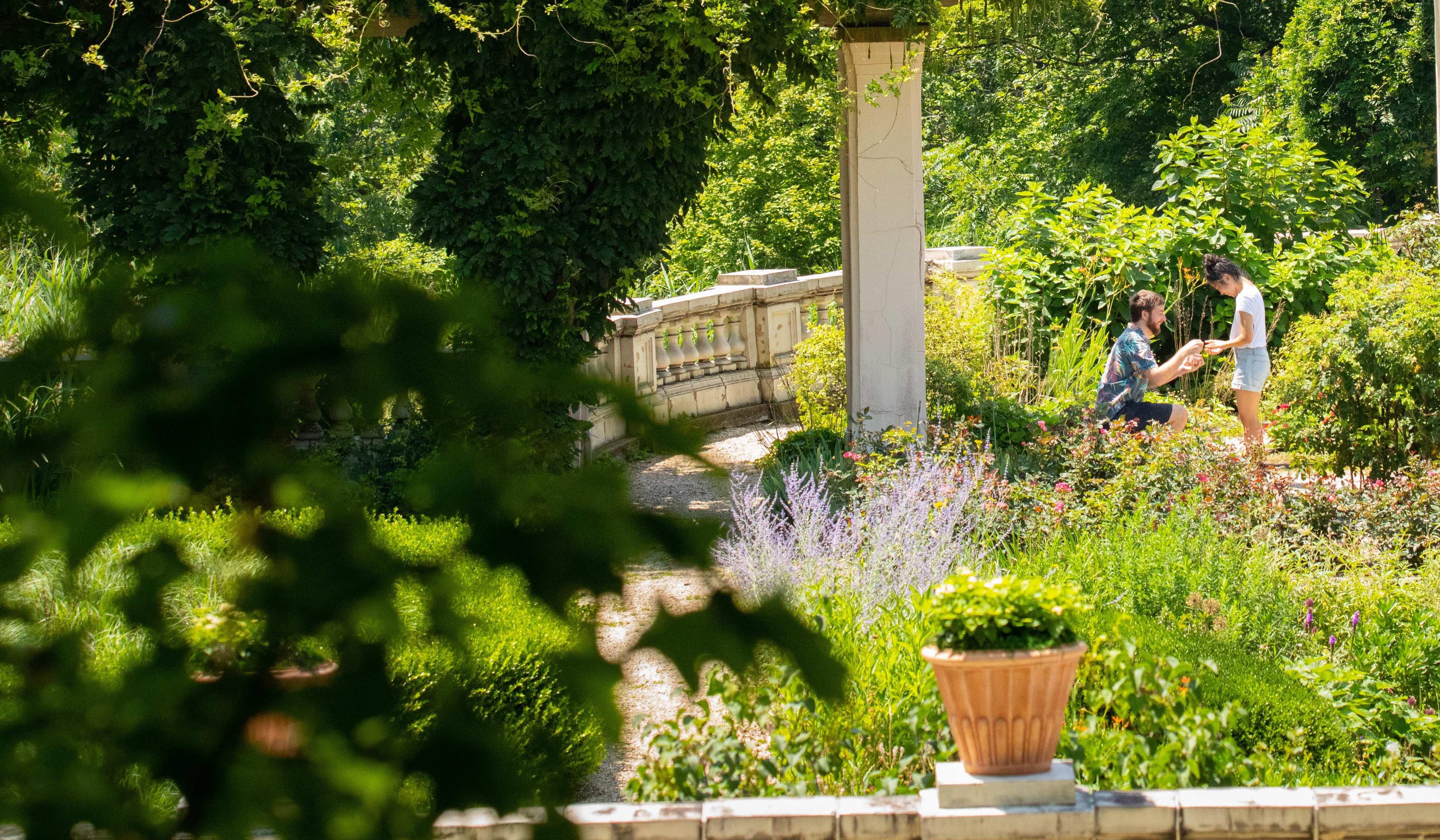 Jim Turvey and Michelle Rosolie's Wedding Website