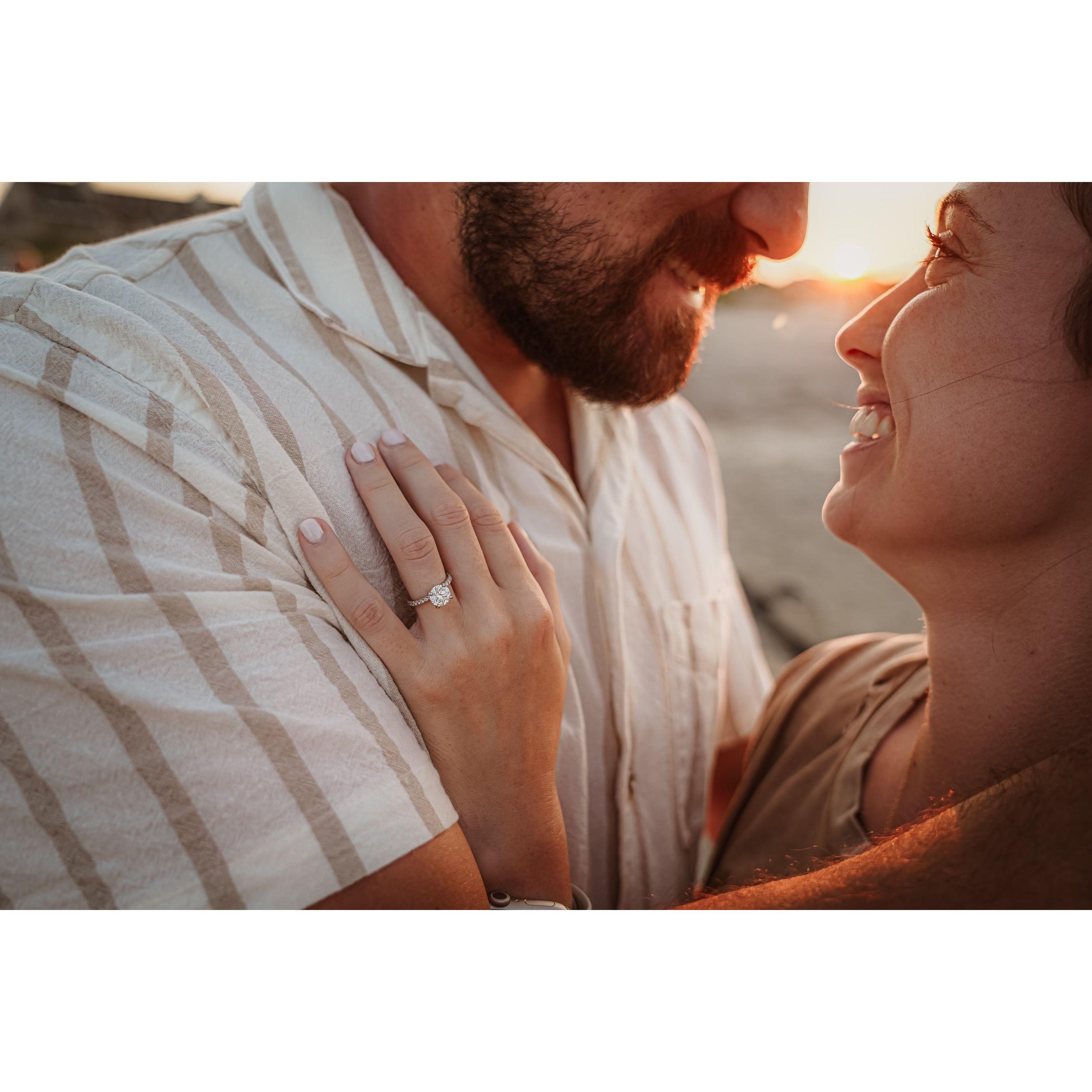 Desiree Brown and Michael Milillo's Wedding Website