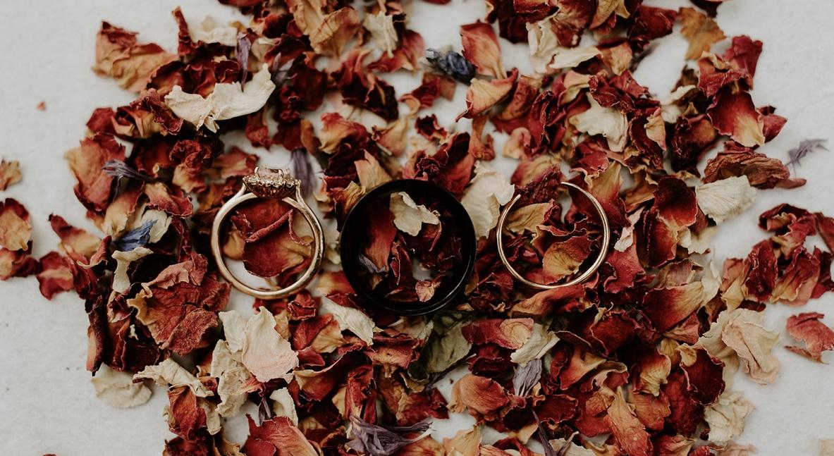 Kristy Shearer and Justin Geary's Wedding Website