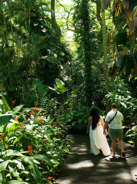 Luisa Rodriguez and Andrew Wood's Wedding Website