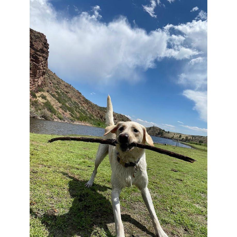 Emily Farrow and Eric Hertlein's Wedding Website