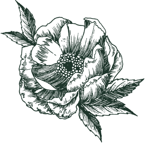 Georgia Edmiston and Jeremy Segreti's Wedding Website