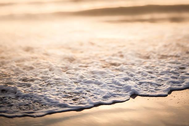 Kaleigh Dyer and Josh Belew's Wedding Website