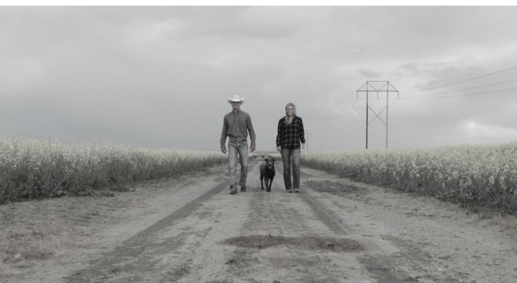 Amy Lick and Isaac Jacobs' Wedding Website