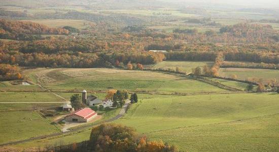 Laraine Hsu and Kyle Marano's Wedding Website