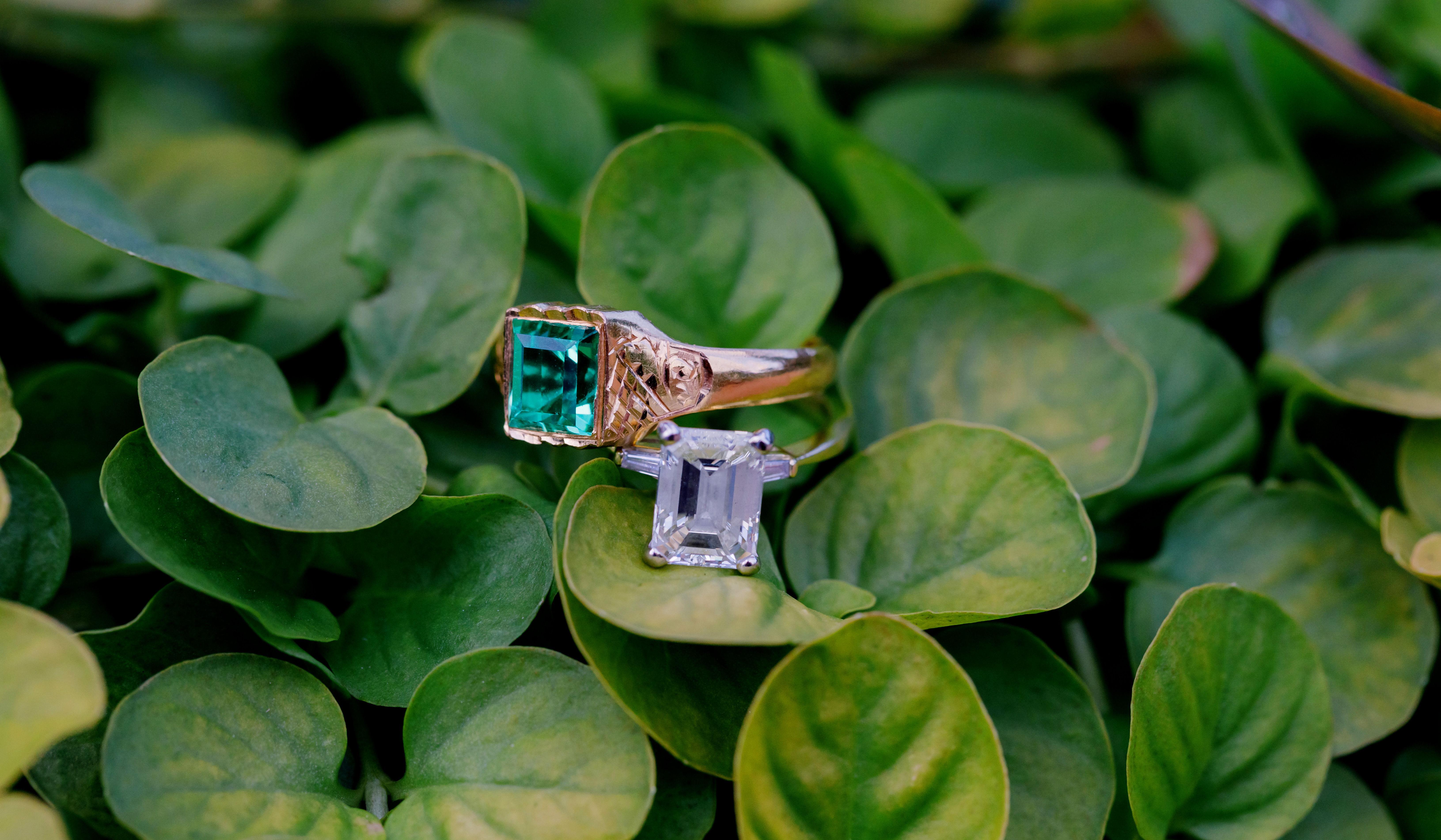 Sarah DeLong and Yasasvi Vasili's Wedding Website