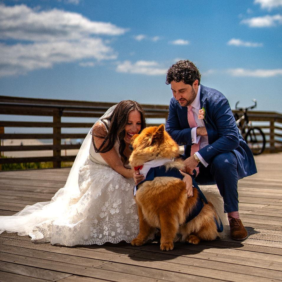 Jaymee Nusbaum and Liam Cohen's Wedding Website