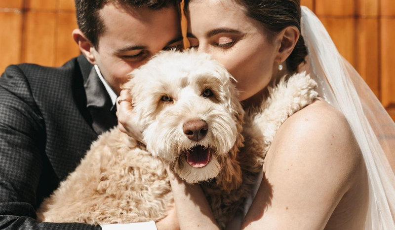Emma Gaboury and Michael Cyrocki's Wedding Website