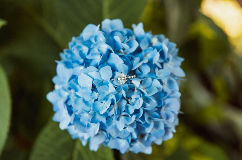 Grace Koehler and Darrin Wiederhoeft's Wedding Website