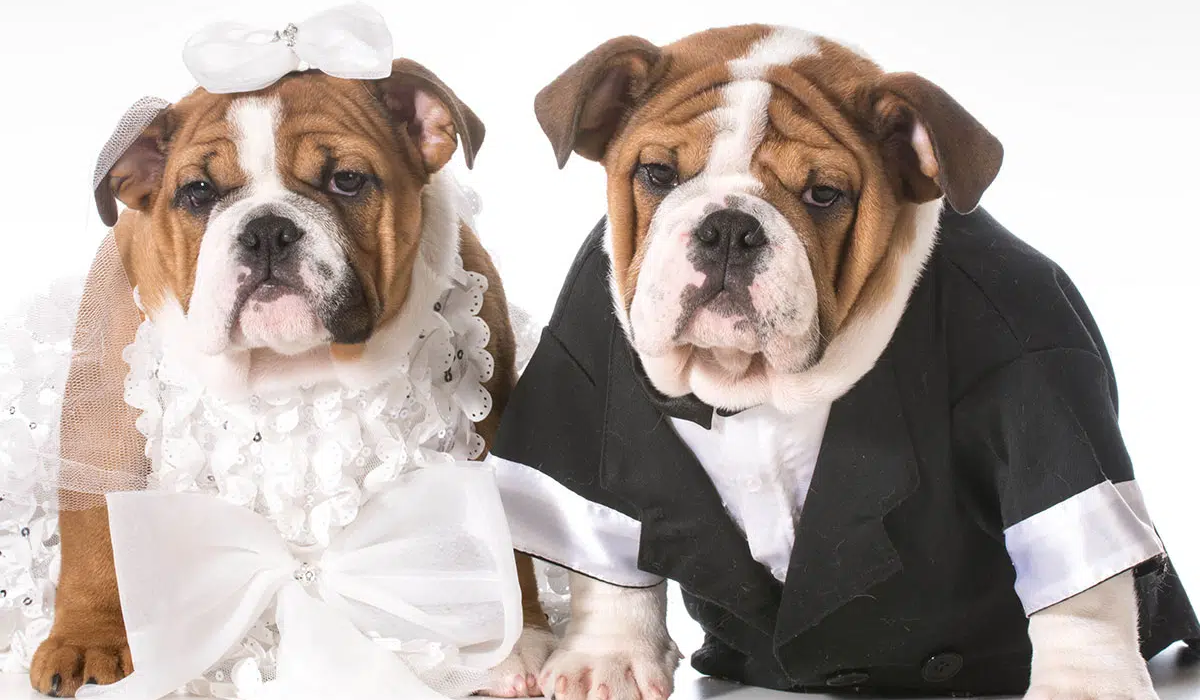 Kelsey Morris and Dustin Neuman's Wedding Website