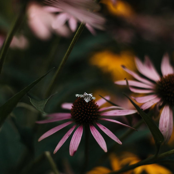 Ashley Utt and Luis Perez's Wedding Website