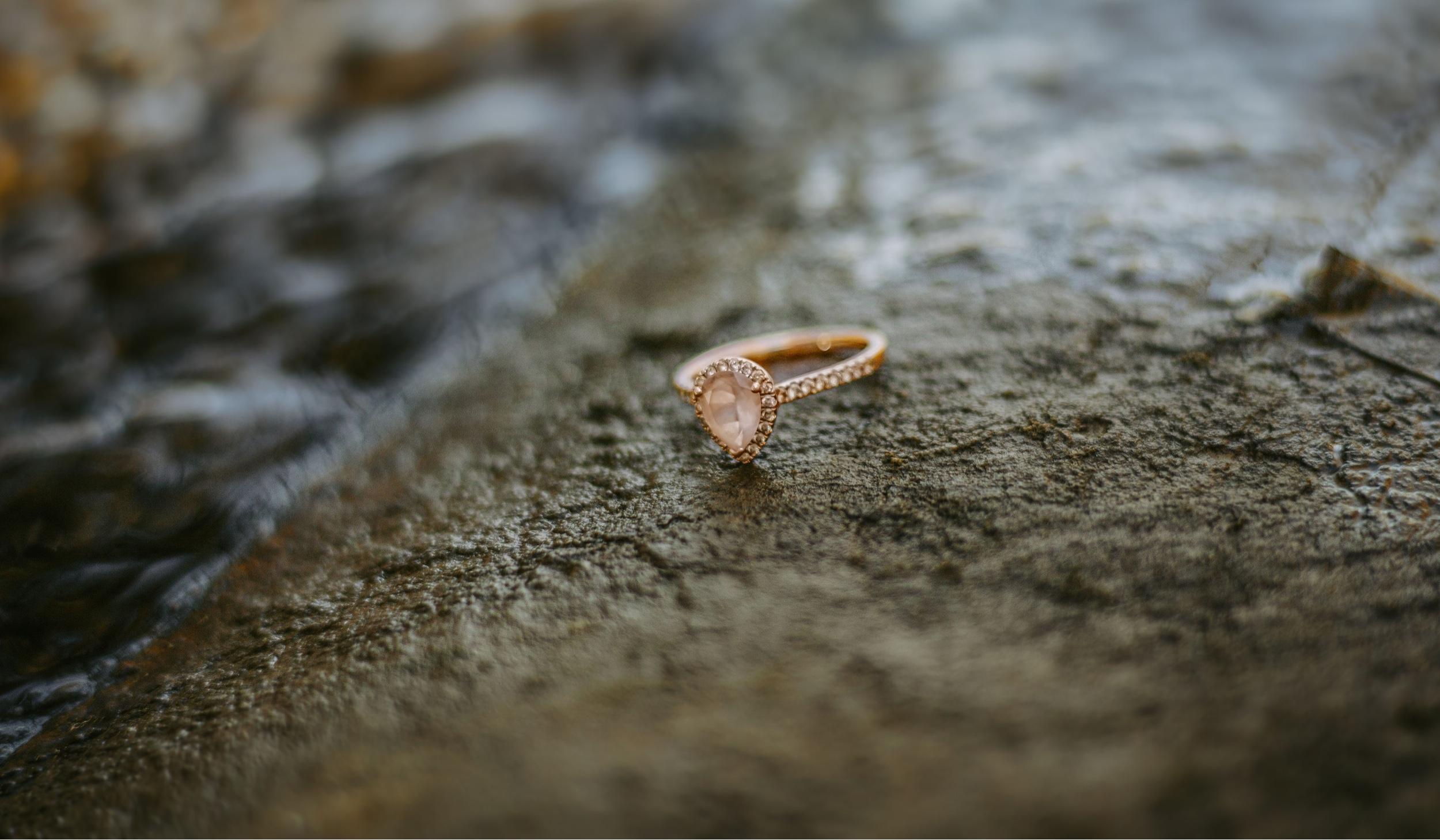 Justice Butterfield and Mathew DeLucia's Wedding Website