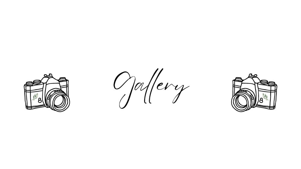 Hannah Foster and Justin Bayly's Wedding Website