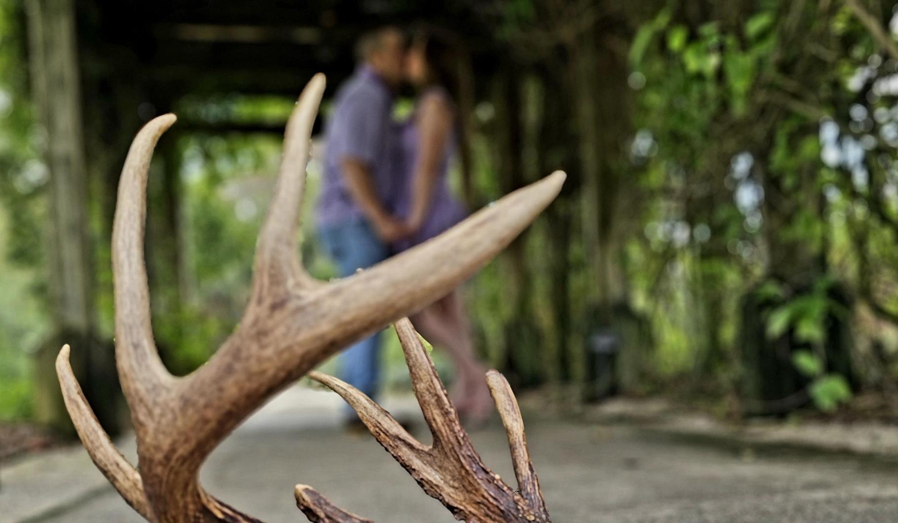 Dani Jordan and Kaleb Hood's Wedding Website