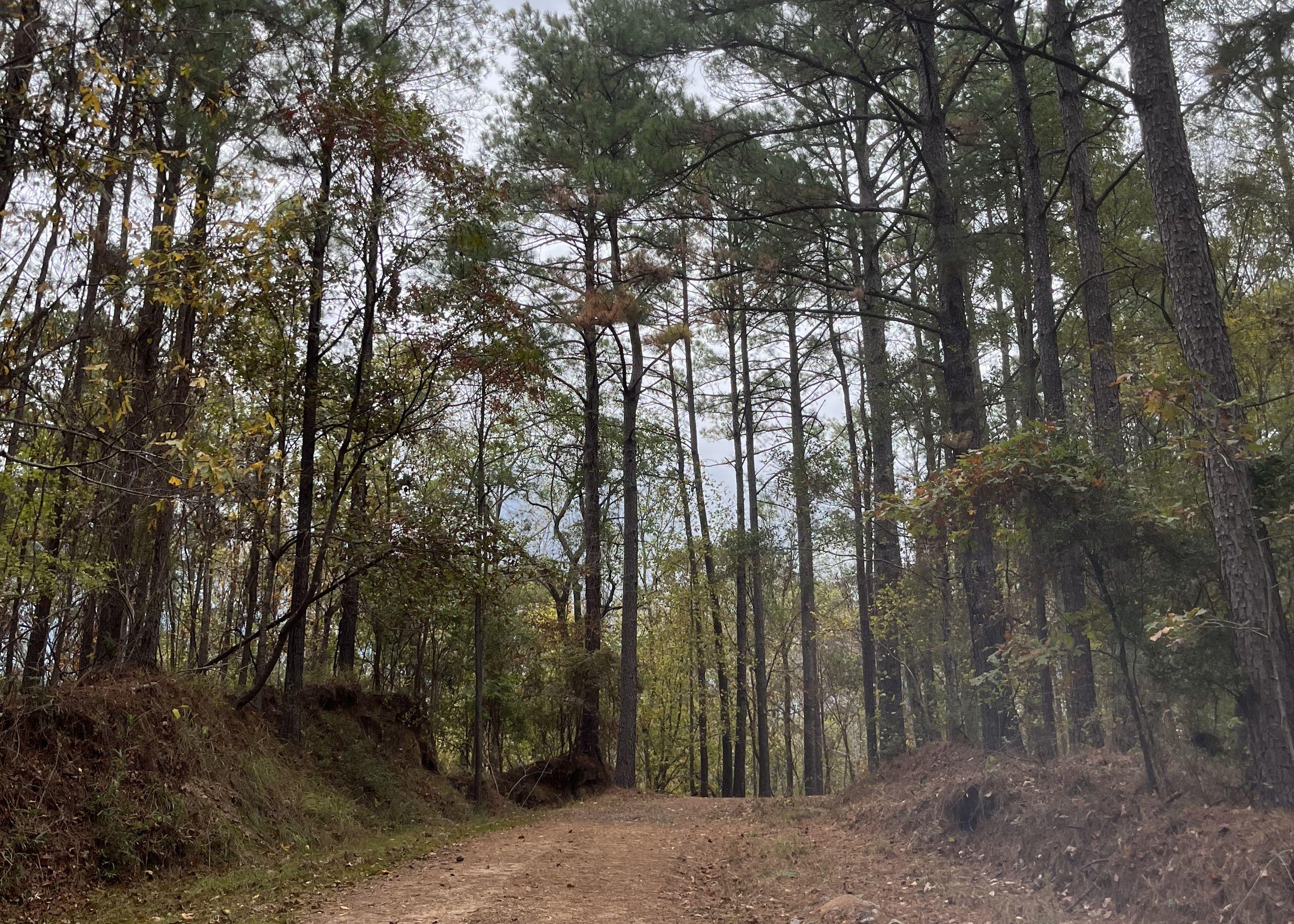 Brennan Clancy and Lauren Timphony's Wedding Website