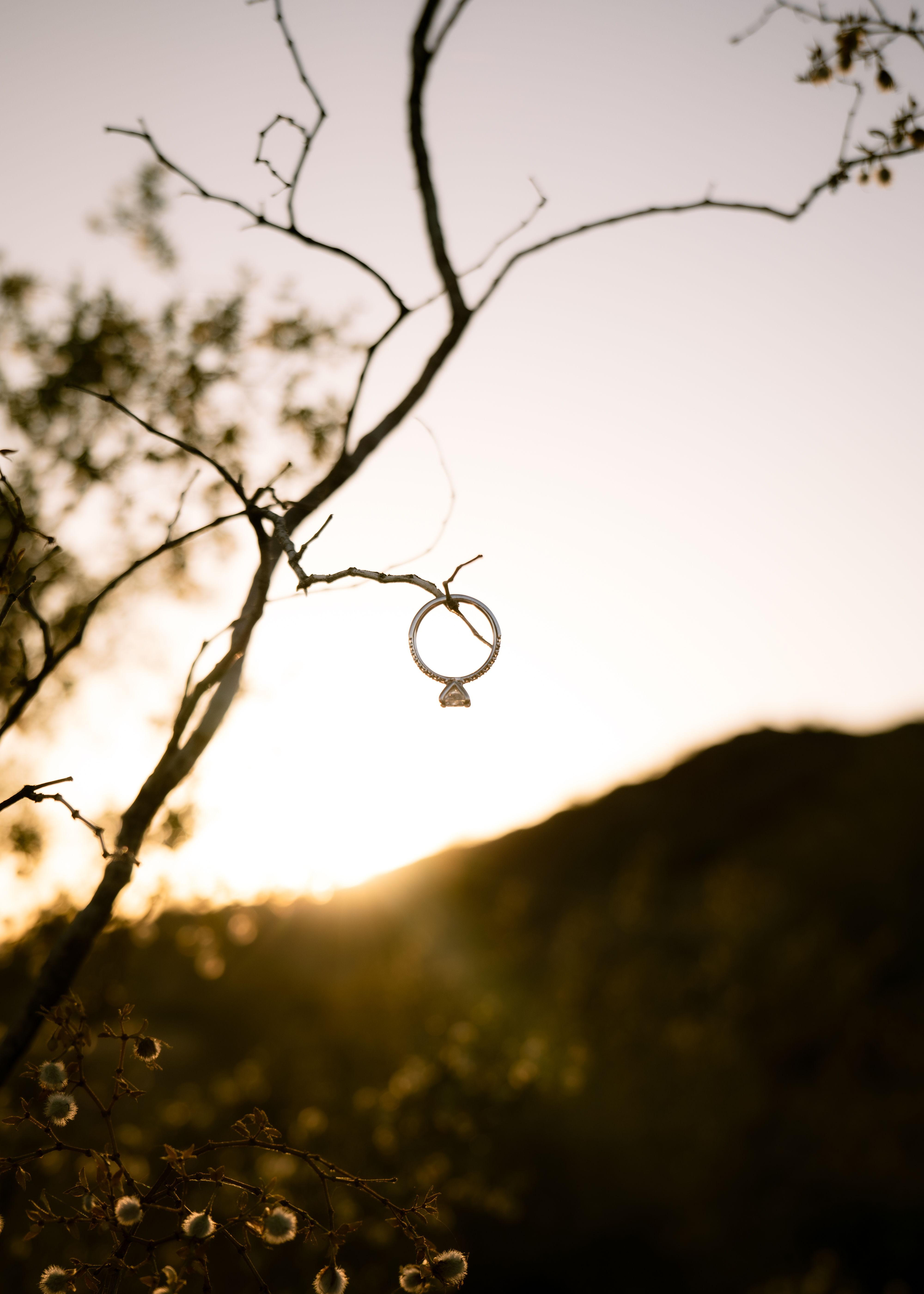 Jaydan Cruz and Samantha Johnson's Wedding Website