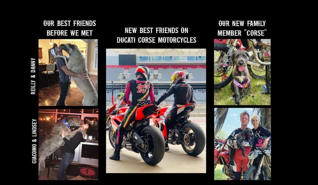 Lindsey Redfern and Danny Lilly's Wedding Website