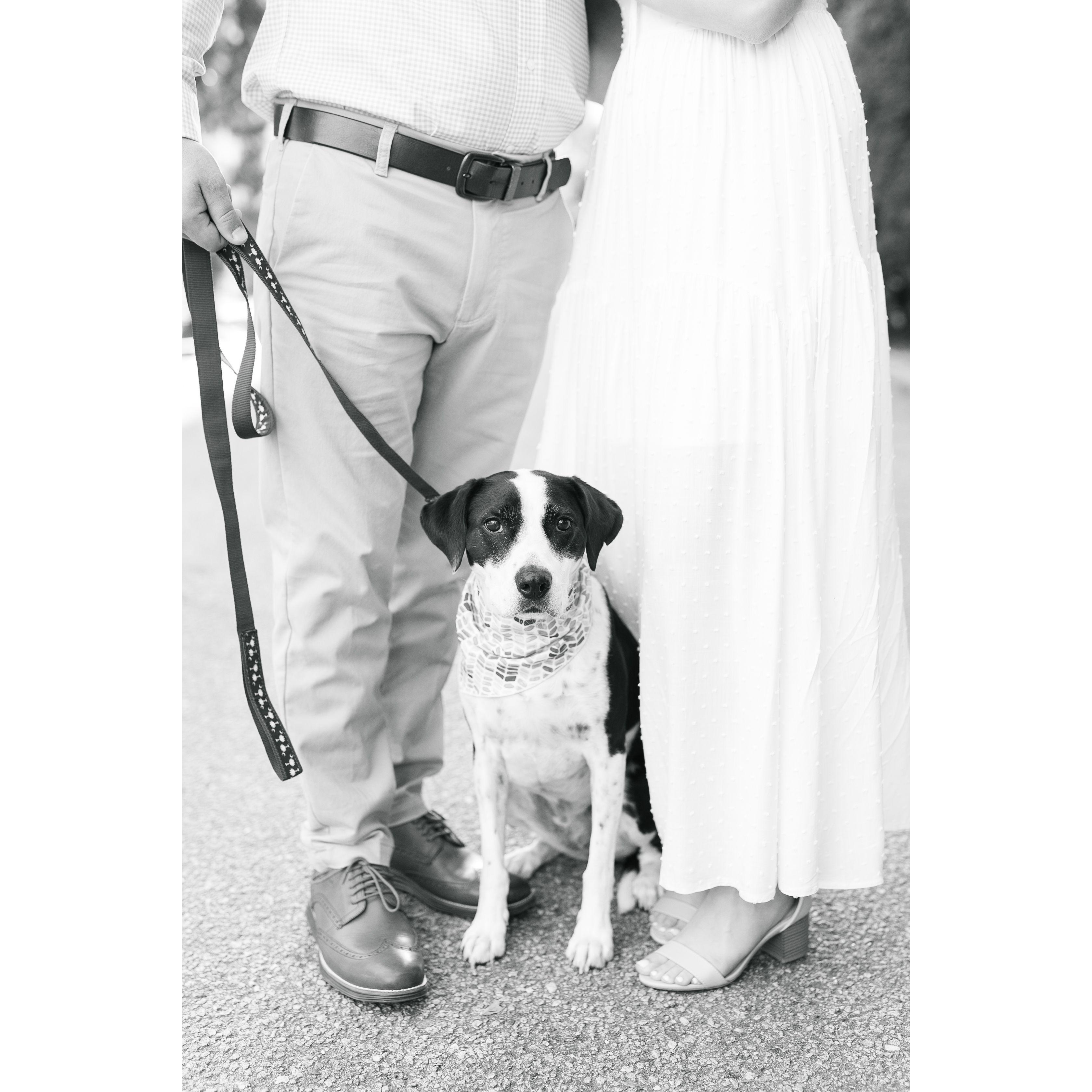 Kara Elizabeth and David Sottile's Wedding Website