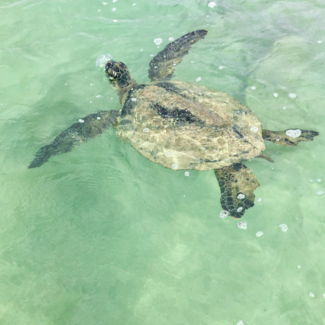 Vinny Mauro and Katie Edwards' Wedding Website