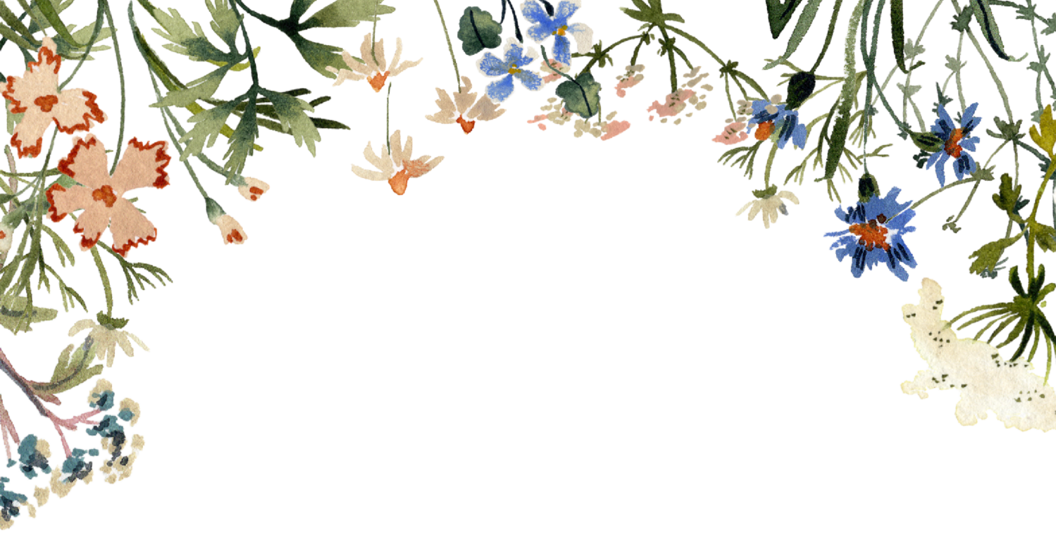 Lauren Cobak and Nathan Brignac's Wedding Website