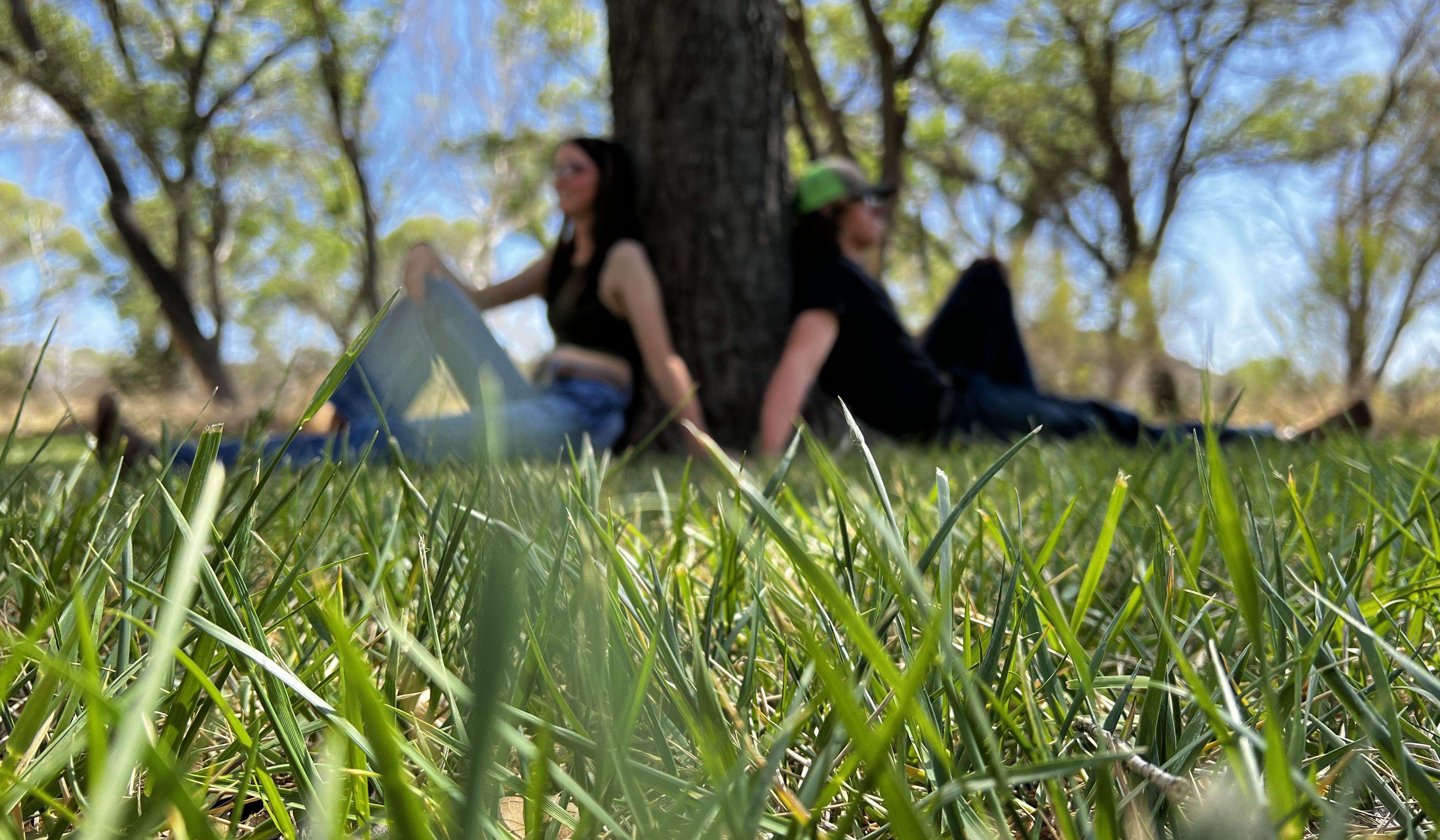 Emily Crowley and Jeremiah Johnson's Wedding Website
