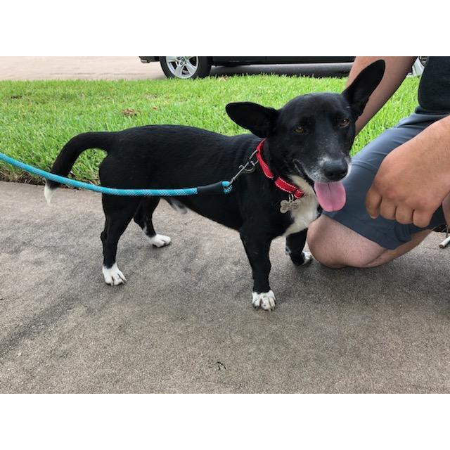 Becky Mandelbaum and Patrick Dingle's Wedding Website