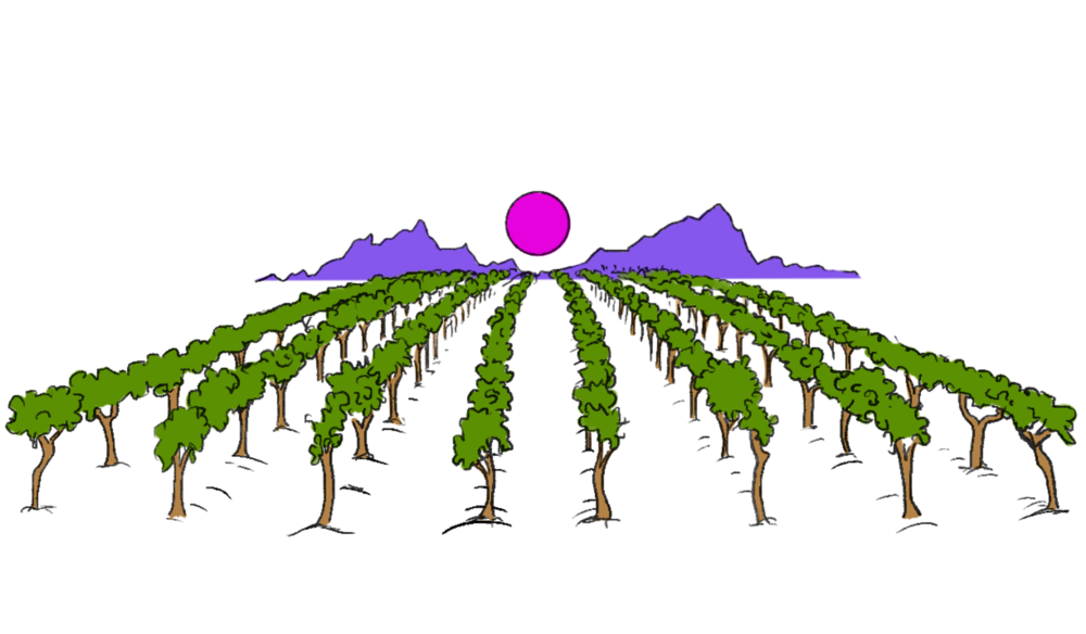 Natasha Price and Harry Blumsack's Wedding Website