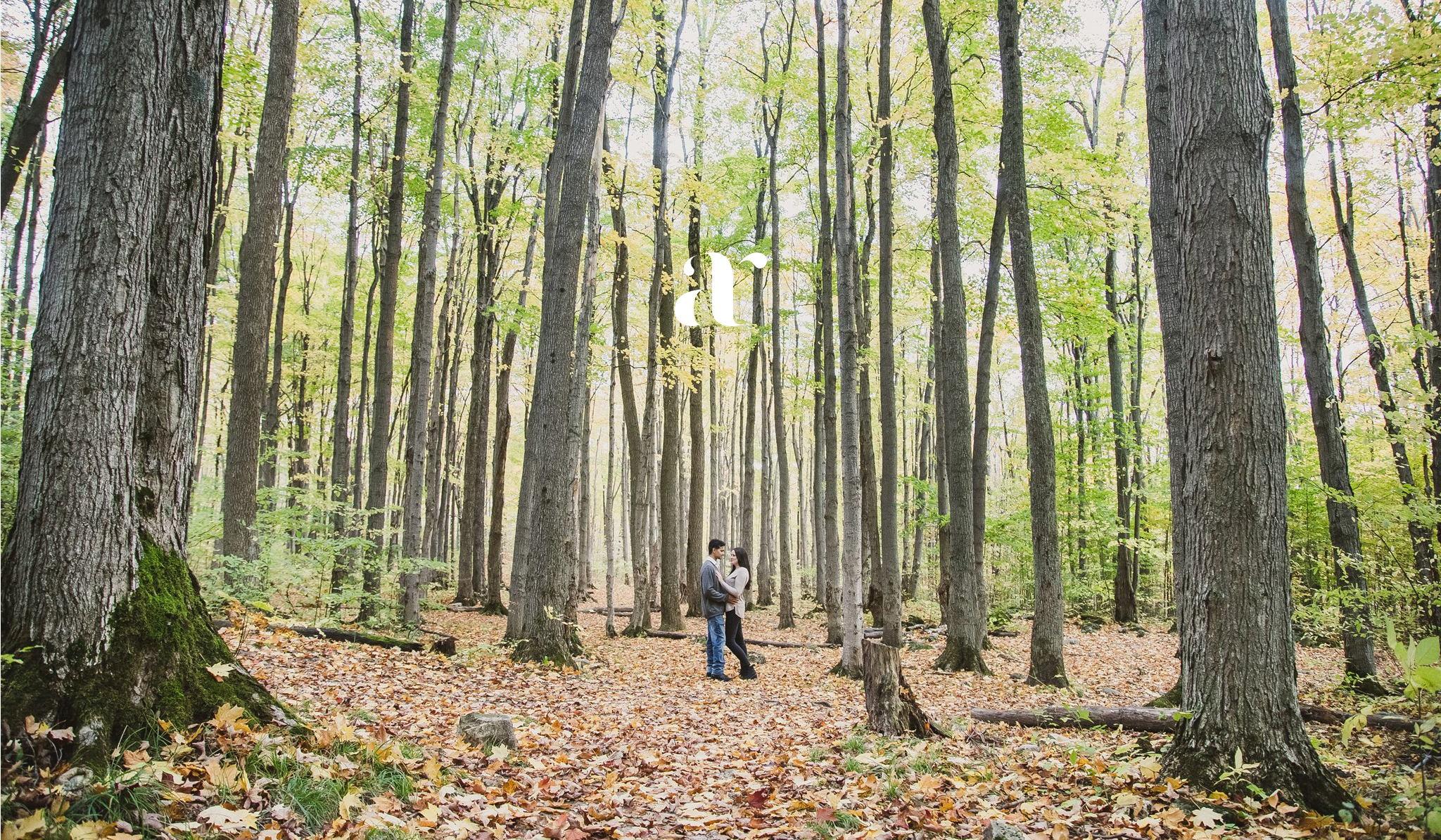 Amanda Leroux and Rohan Pinto's Wedding Website