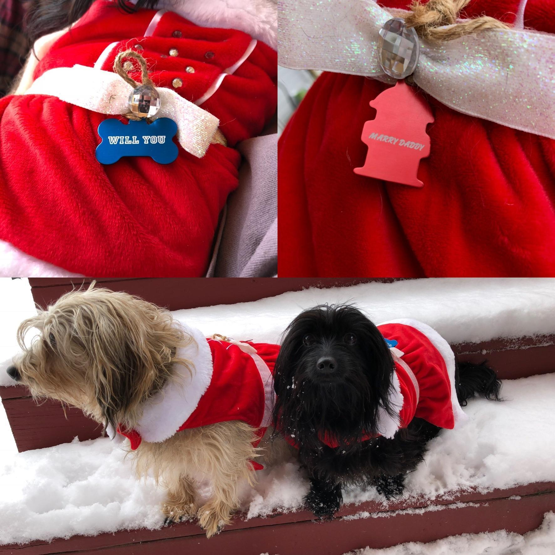 Abigail Wiggers and Dillon Stoddard's Wedding Website