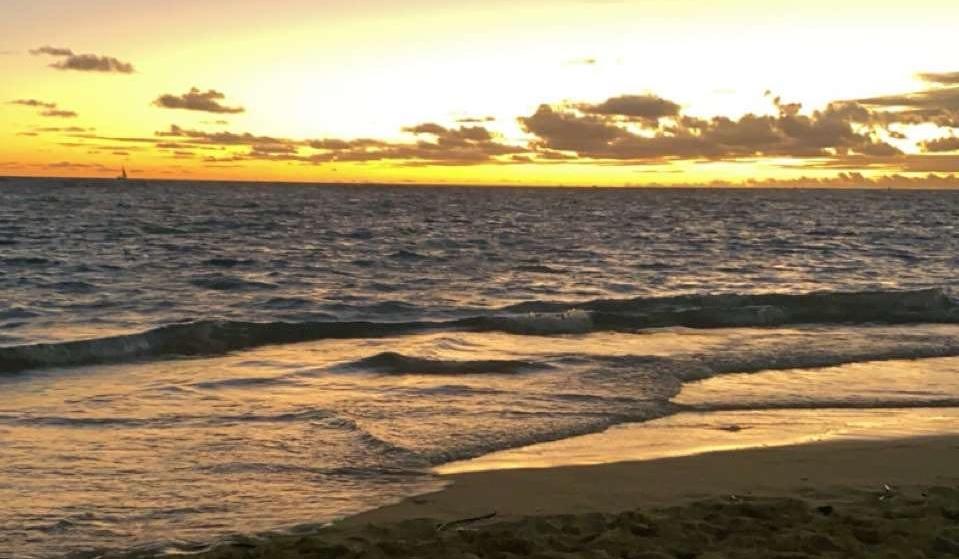 Elizabeth Mozingo and Nicholas Boss' Wedding Website