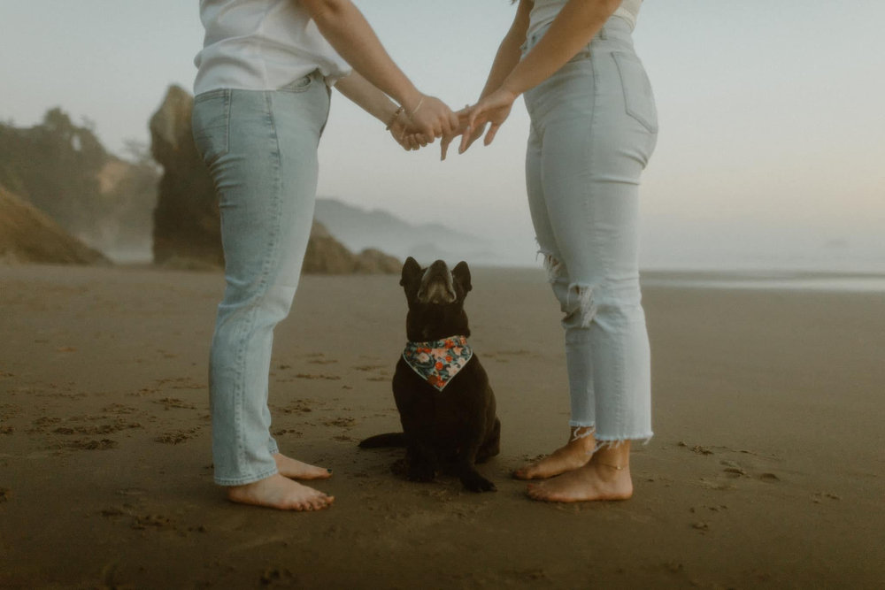 Alana D'Onofrio and Cynthia Wills Vazquez's Wedding Website