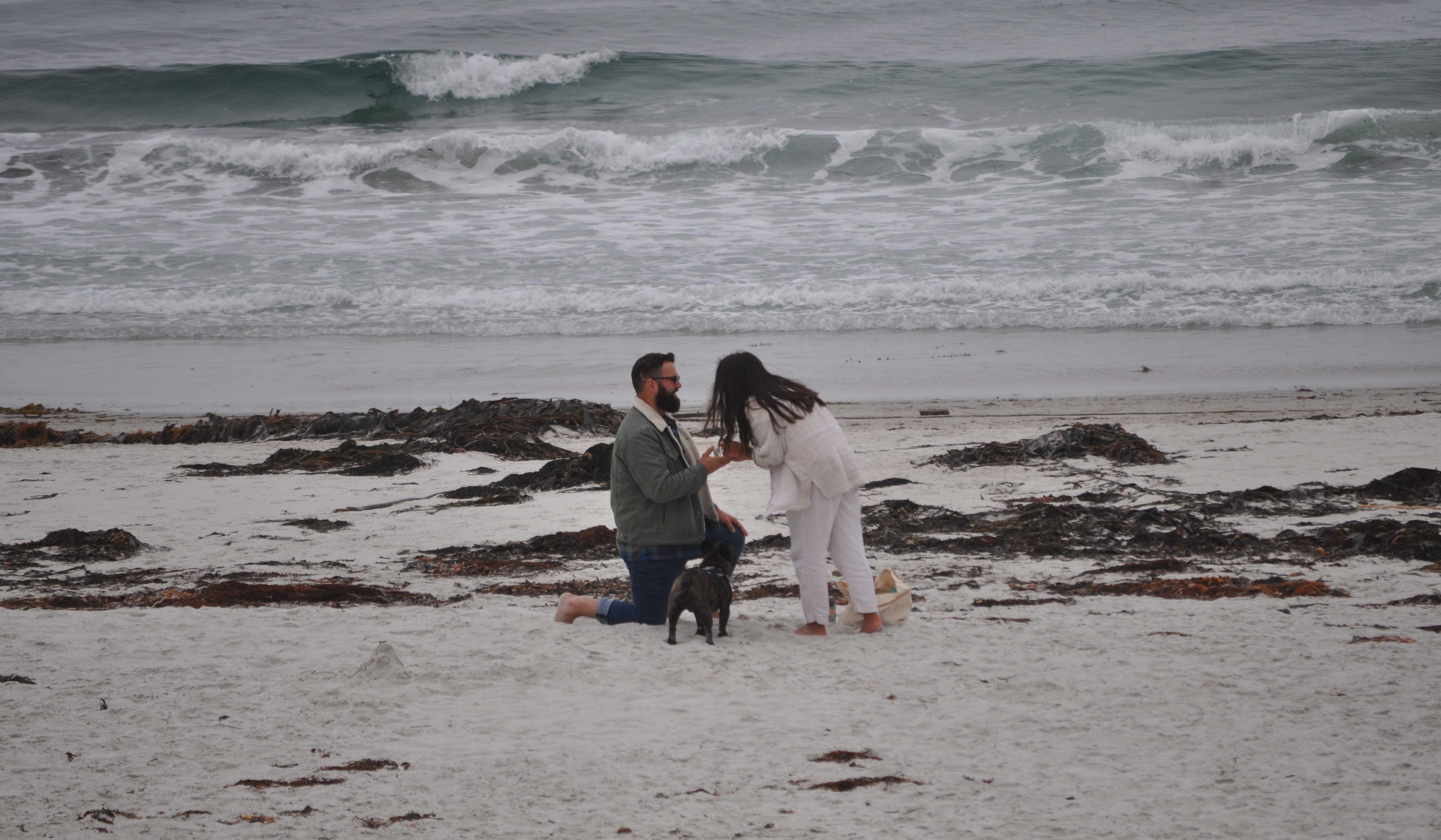 Gina Aiello and Mickey Crespo's Wedding Website