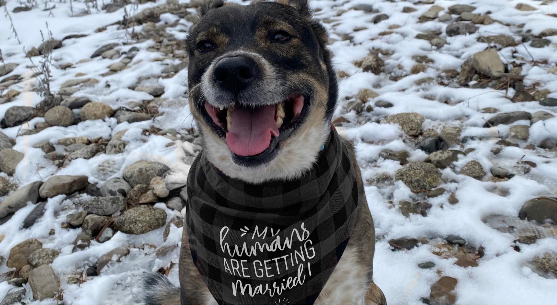 Krystal Vigoa and Bryan Shultz's Wedding Website