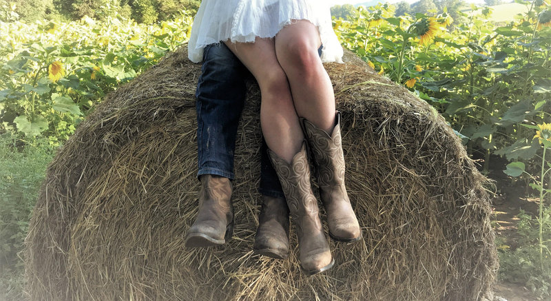 Karyn Gargiulo and Brian Sullivan's Wedding Website