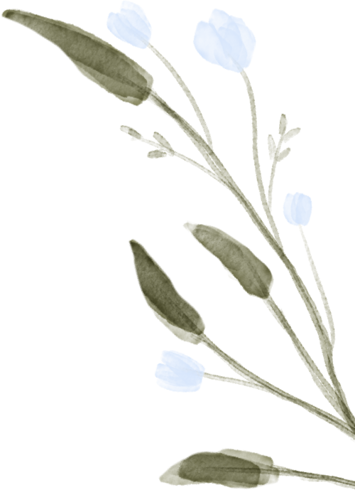 Elizabeth Brady Countryman and John Patrick Horey's Wedding Website