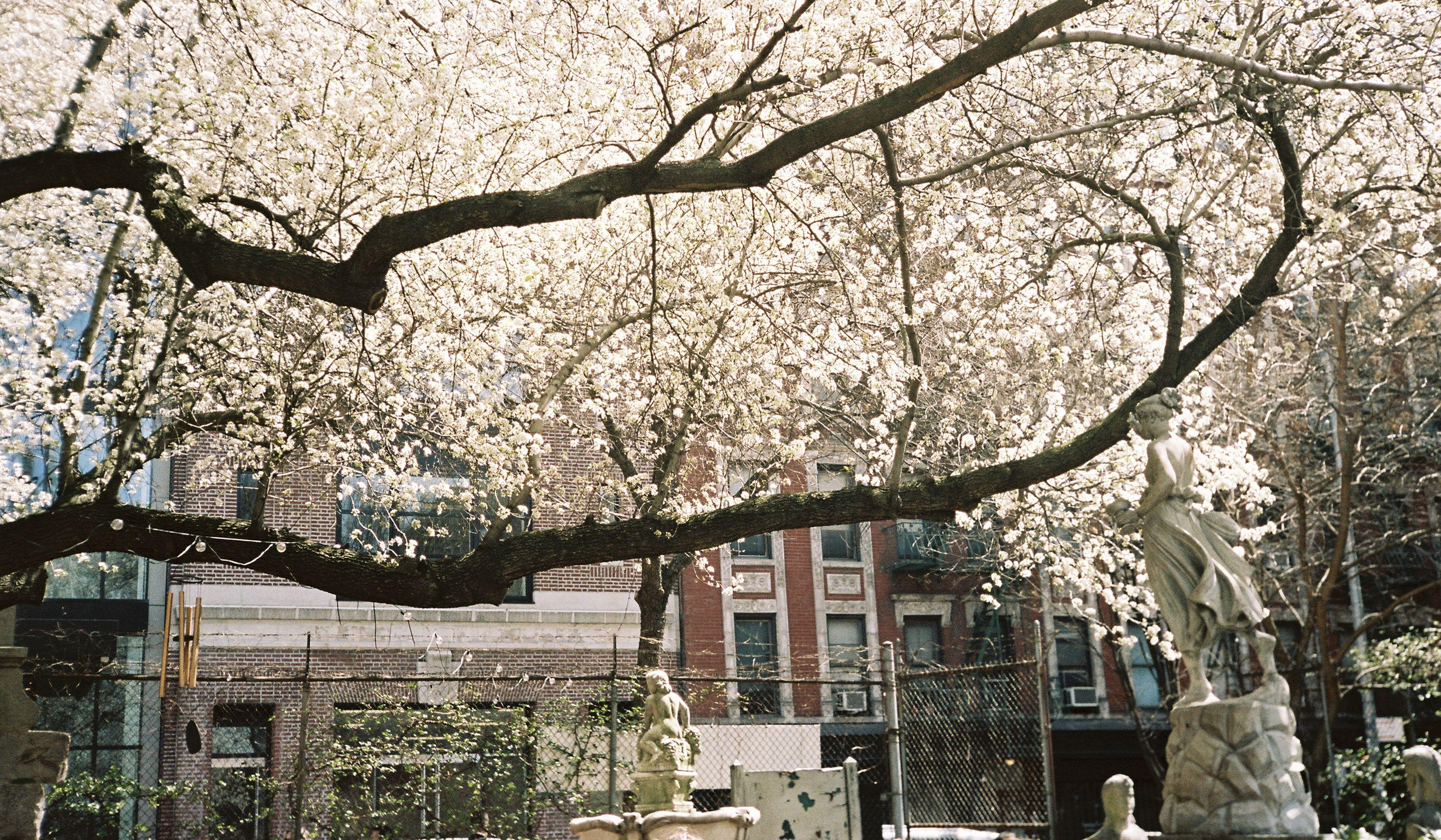 Ally Stapleton and Judson Bergman's Wedding Website