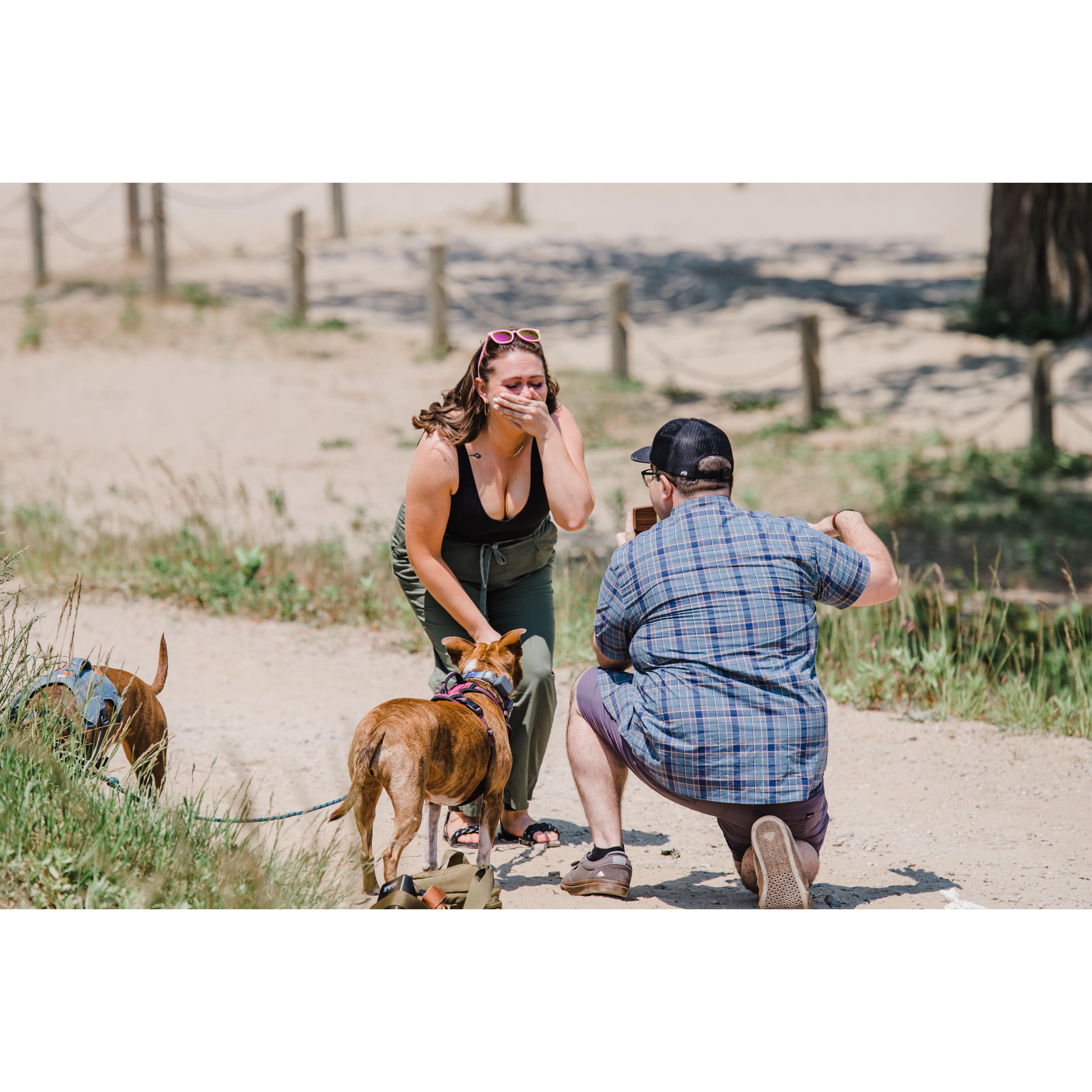 Emily Casey and Ryan Casey's Wedding Website